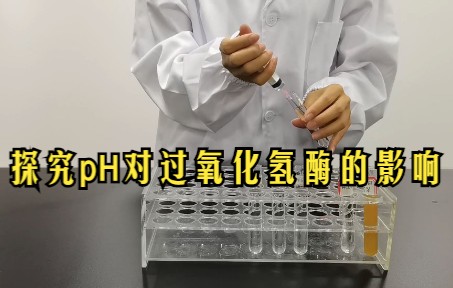 【生物实验】探究pH对过氧化氢酶的影响