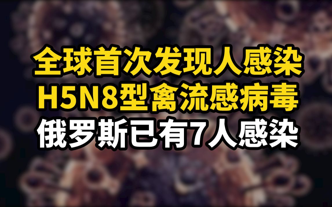 全球首次发现人感染H5N8型禽流感病毒,俄罗斯已有7人感染
