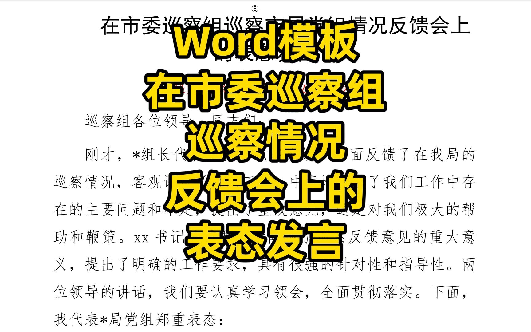 在市委巡察组巡察情况反馈会上的表态发言,范文,Word文件