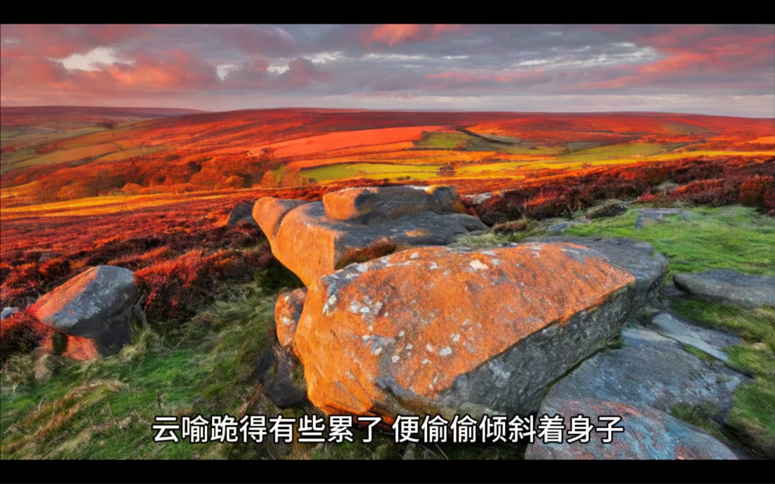 完本《吾皇扑倒九千岁》云喻卫瓖小说在线阅读