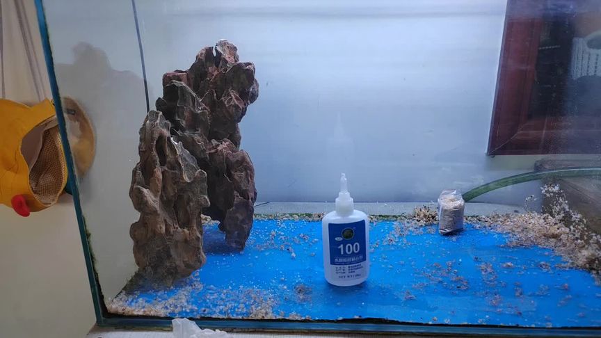 自学了两天的效果#松皮石造景 #玻璃缸中的大自然