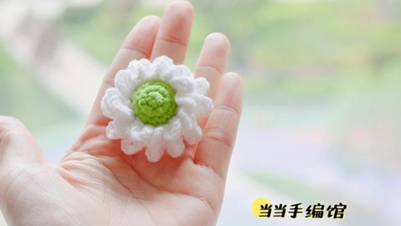 肖战同款小雏菊钩针编织教程
