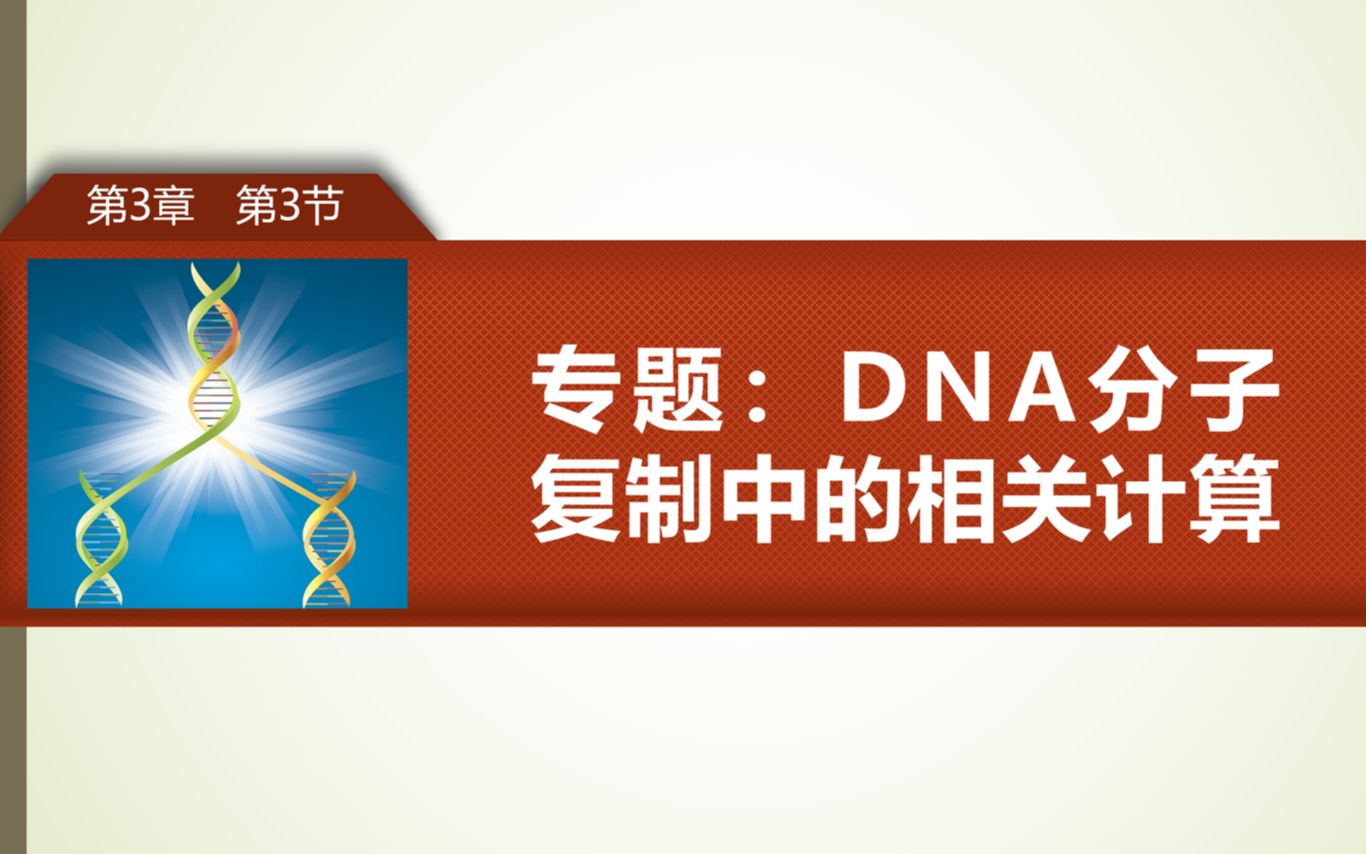 3.3专题:DNA分子复制中的相关计算