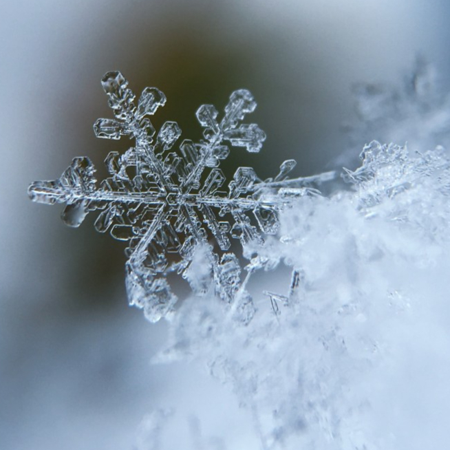 一片飞雪一片寒 
