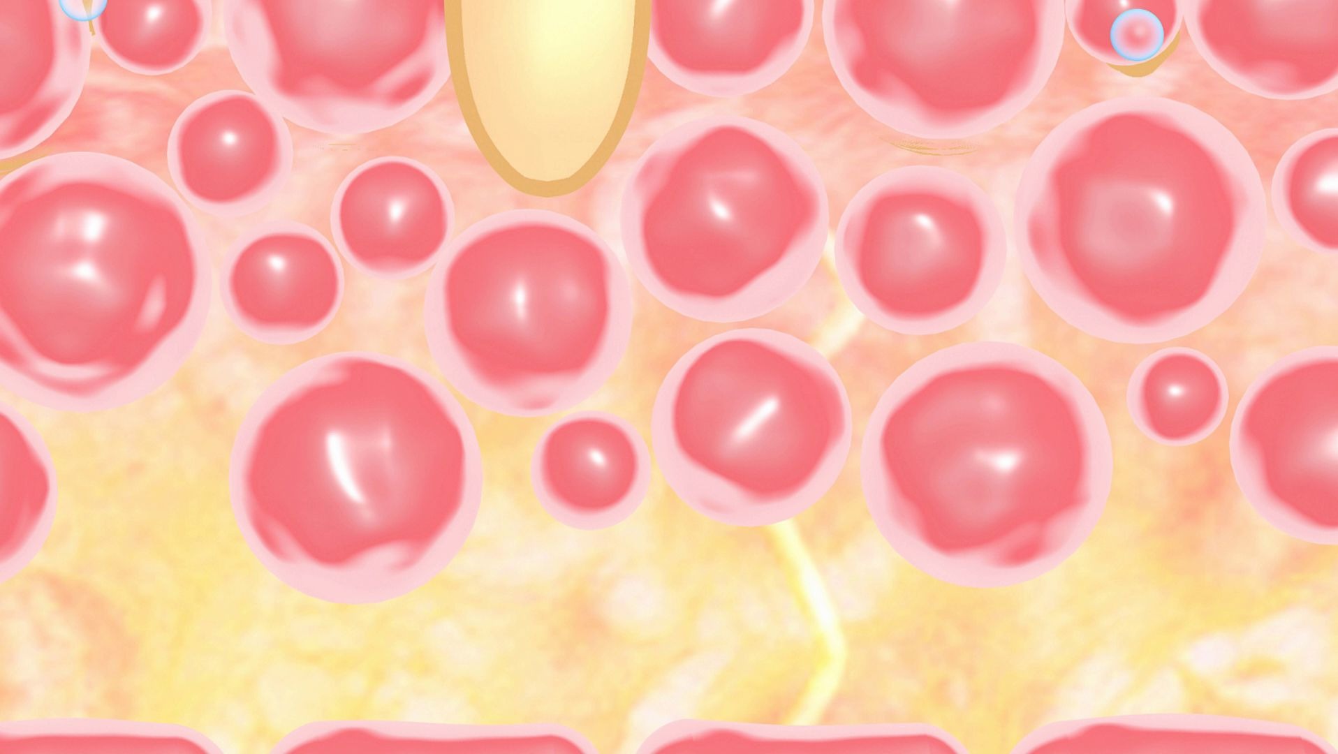 皮肤清洁原理三维动画展示