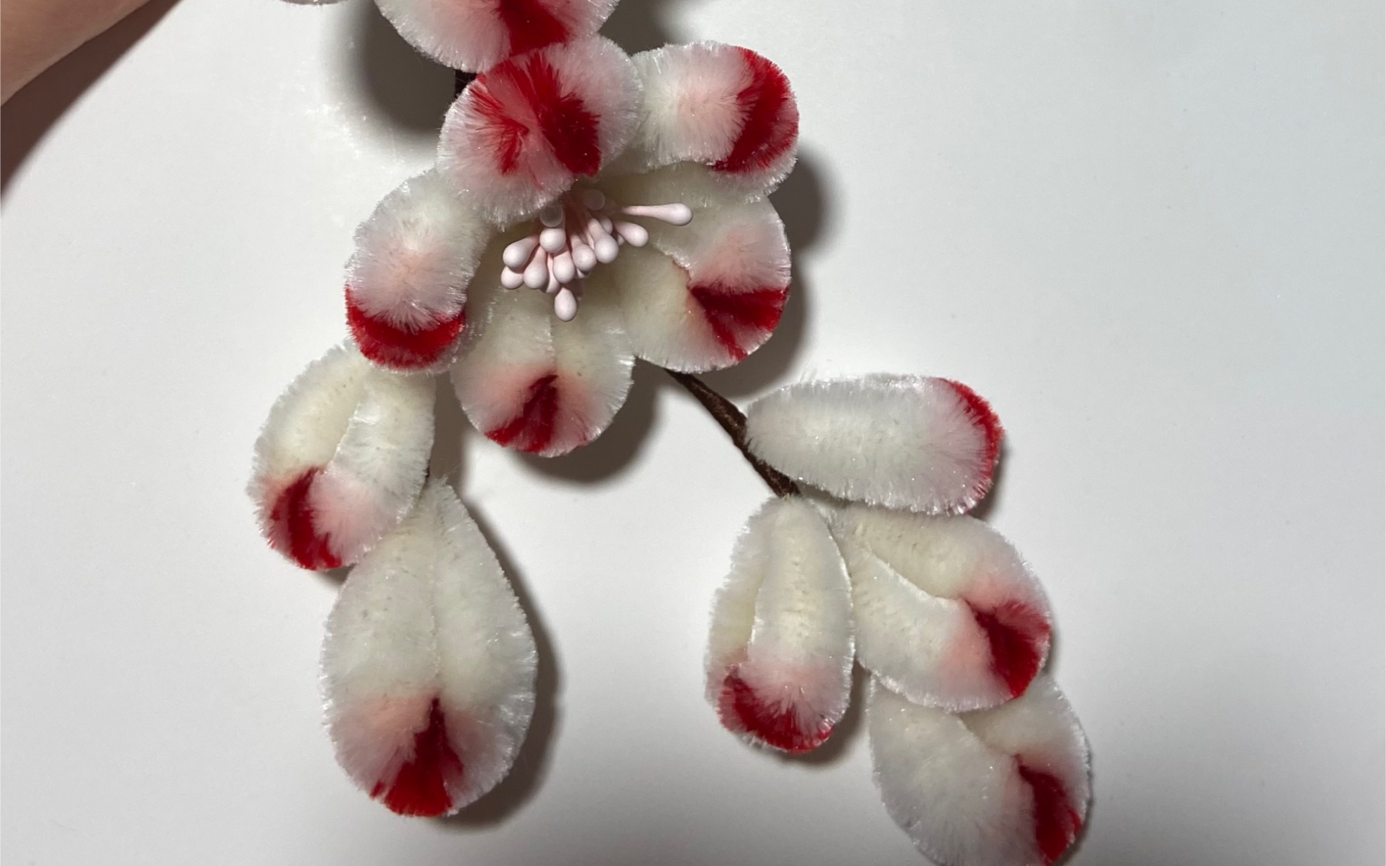 这毛茸茸的质感和光泽