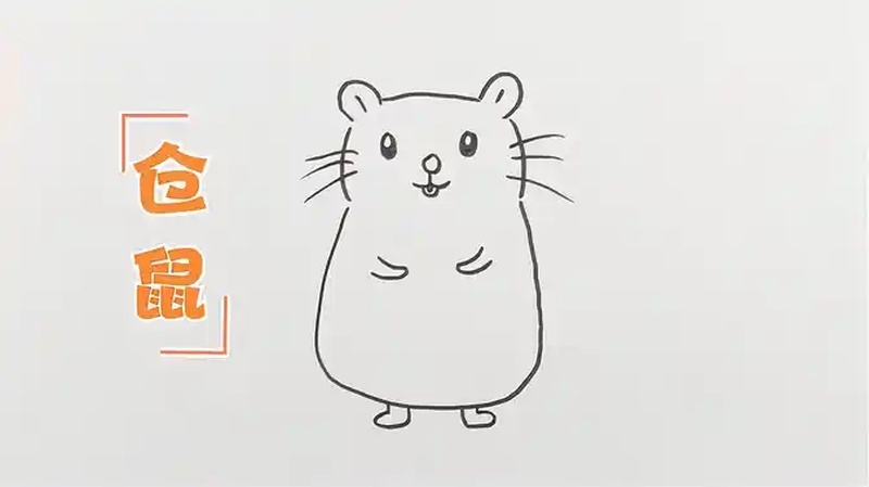 怎样画仓鼠简笔画,怎样绘画一只仓鼠