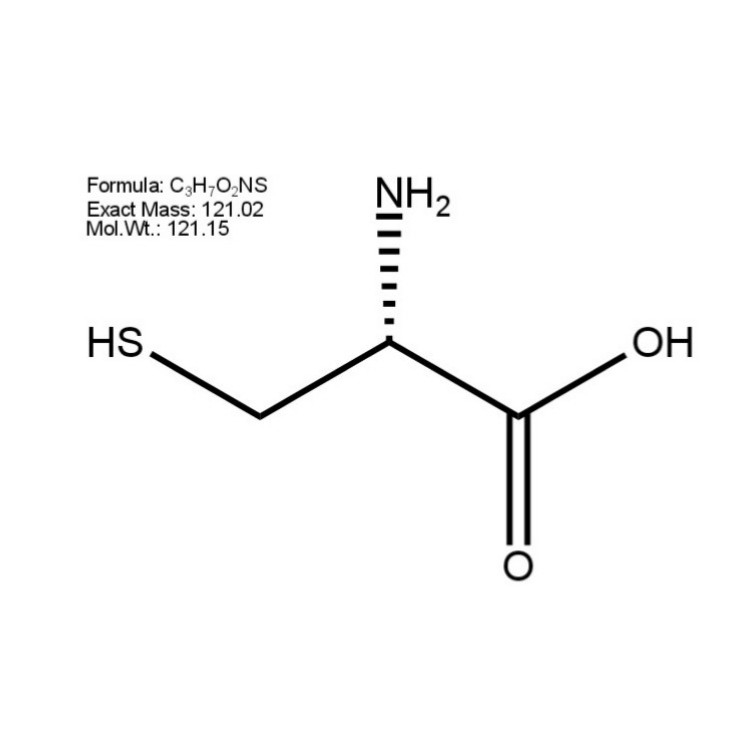 Cysteine_ 