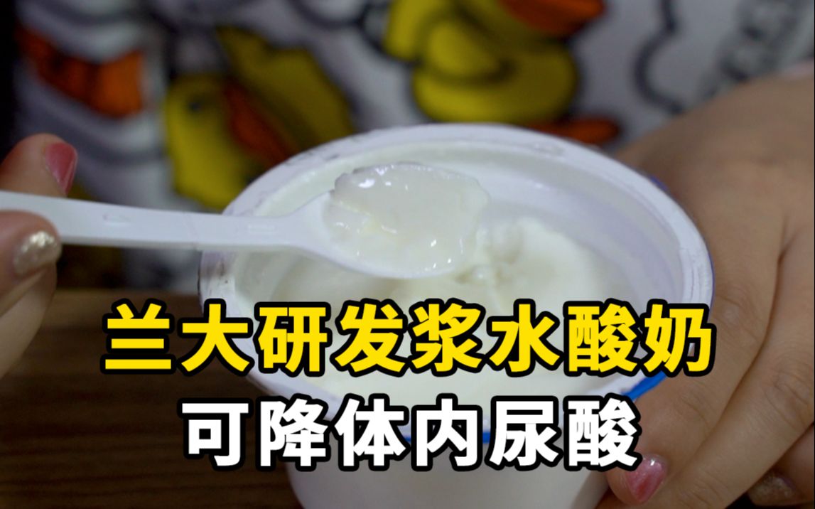 兰州大学研发浆水酸奶可降解尿酸:可缓解痛风
