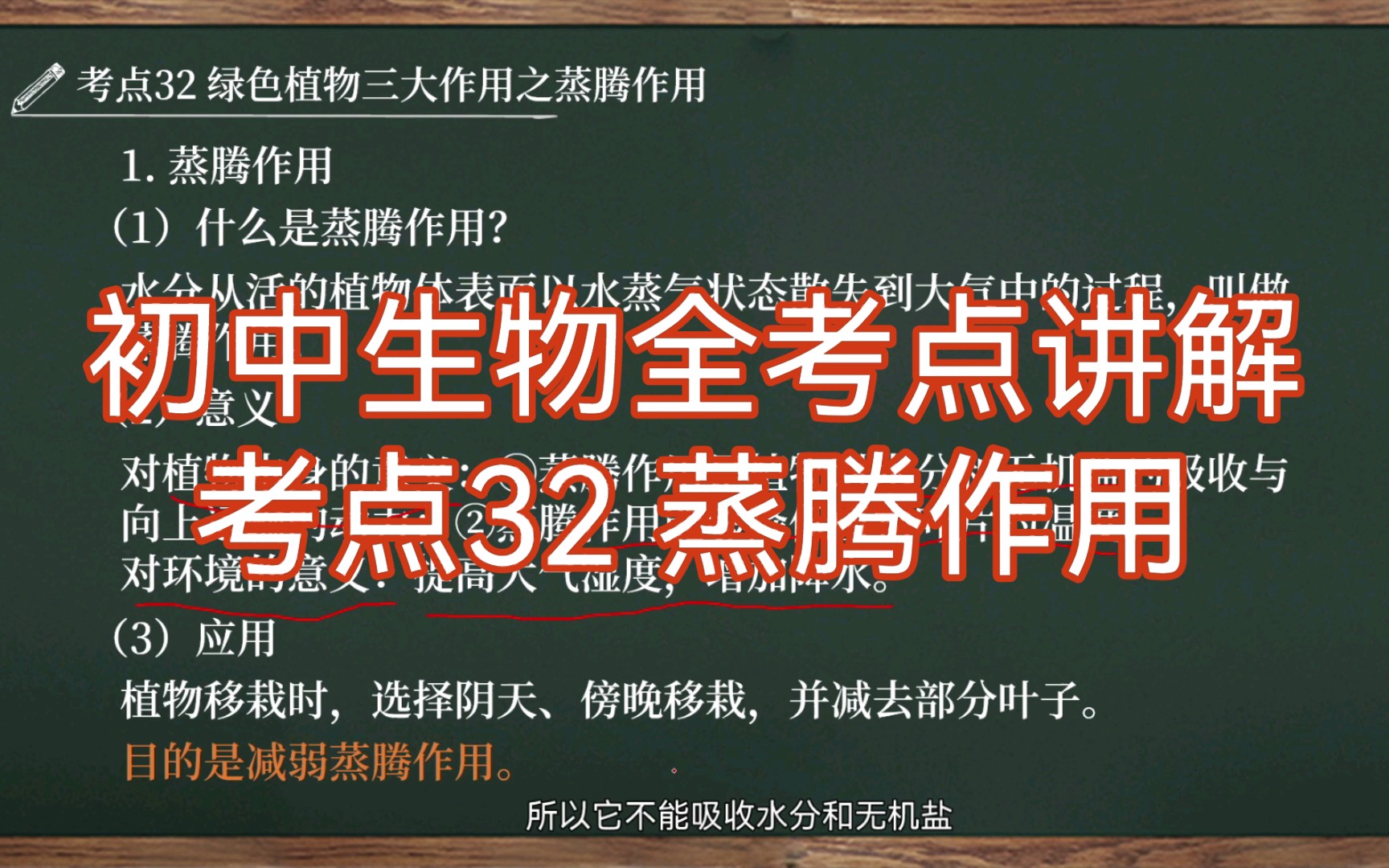 【初中生物全考点讲解|七上】考点32 绿色植物三大作用之蒸腾作用