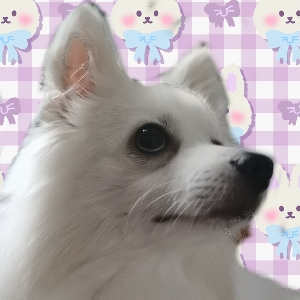 Sunshine稻垛儿 