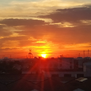 迎晨新 