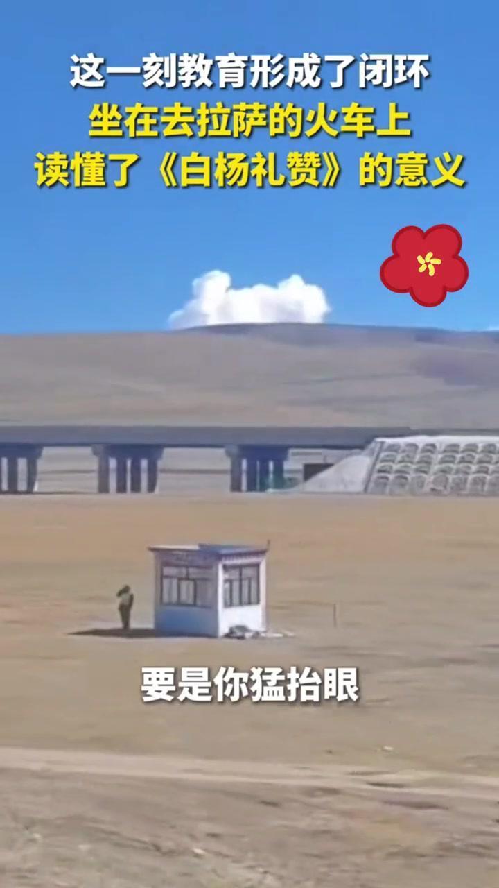 坐在去拉萨的火车上,读懂了《白杨礼赞》的意义