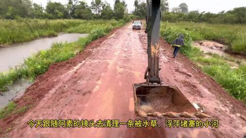 清理一条被水草堵住的排水口水流冲出来那刻简直不要太爽了!