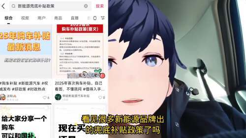 新能源兜底补贴政策