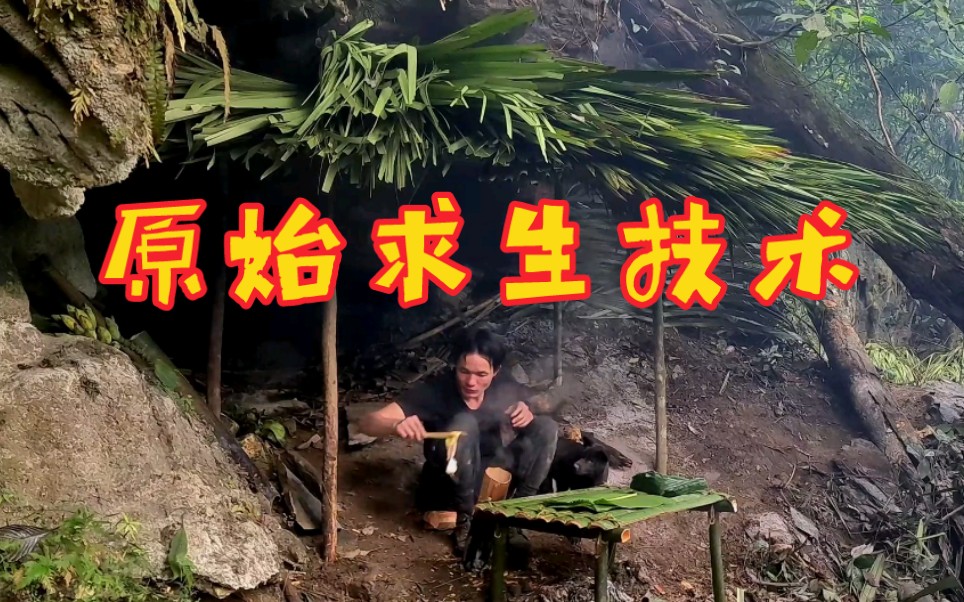 原始丛林生存技术,bushcraft,建造热带雨林庇护所,制作竹排桌子,森林...