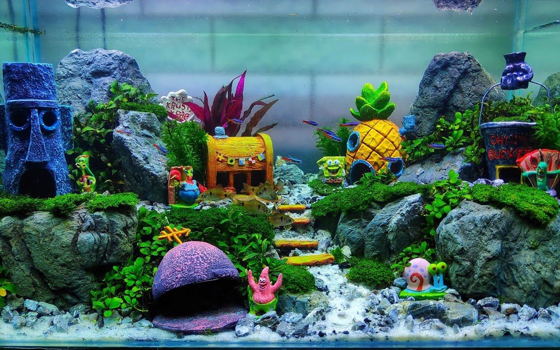 海绵宝宝主题水族馆制作