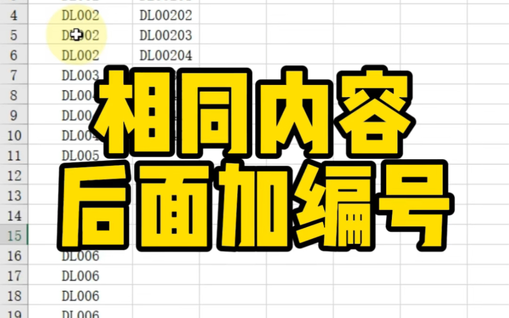 相同内容后面加编号