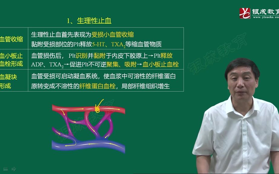 生理03章生理性止血血液凝固抗凝和纤溶30分钟