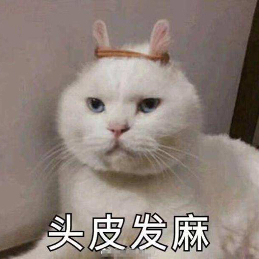 哗啦啦的小白菜 