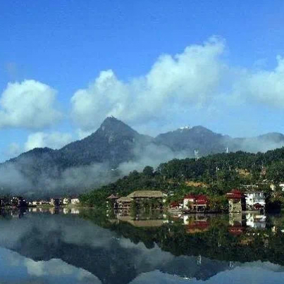 椰汁弟弟叫果汁 