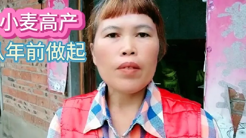 三农 农村大实话 小麦种植 小麦高产就要从年前做起