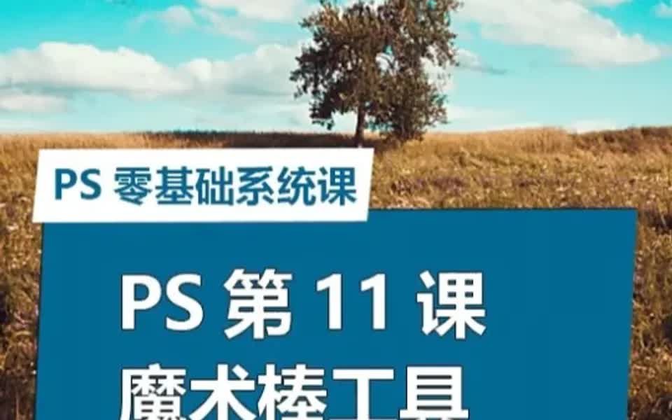 PS零基础小白教程详细讲解魔棒工具使用技巧