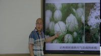 部编版八年级语文下册《综合性学习 倡导低碳生活》甘肃省-张老师 ...
