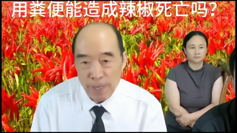 辣椒高产种植技术与管理