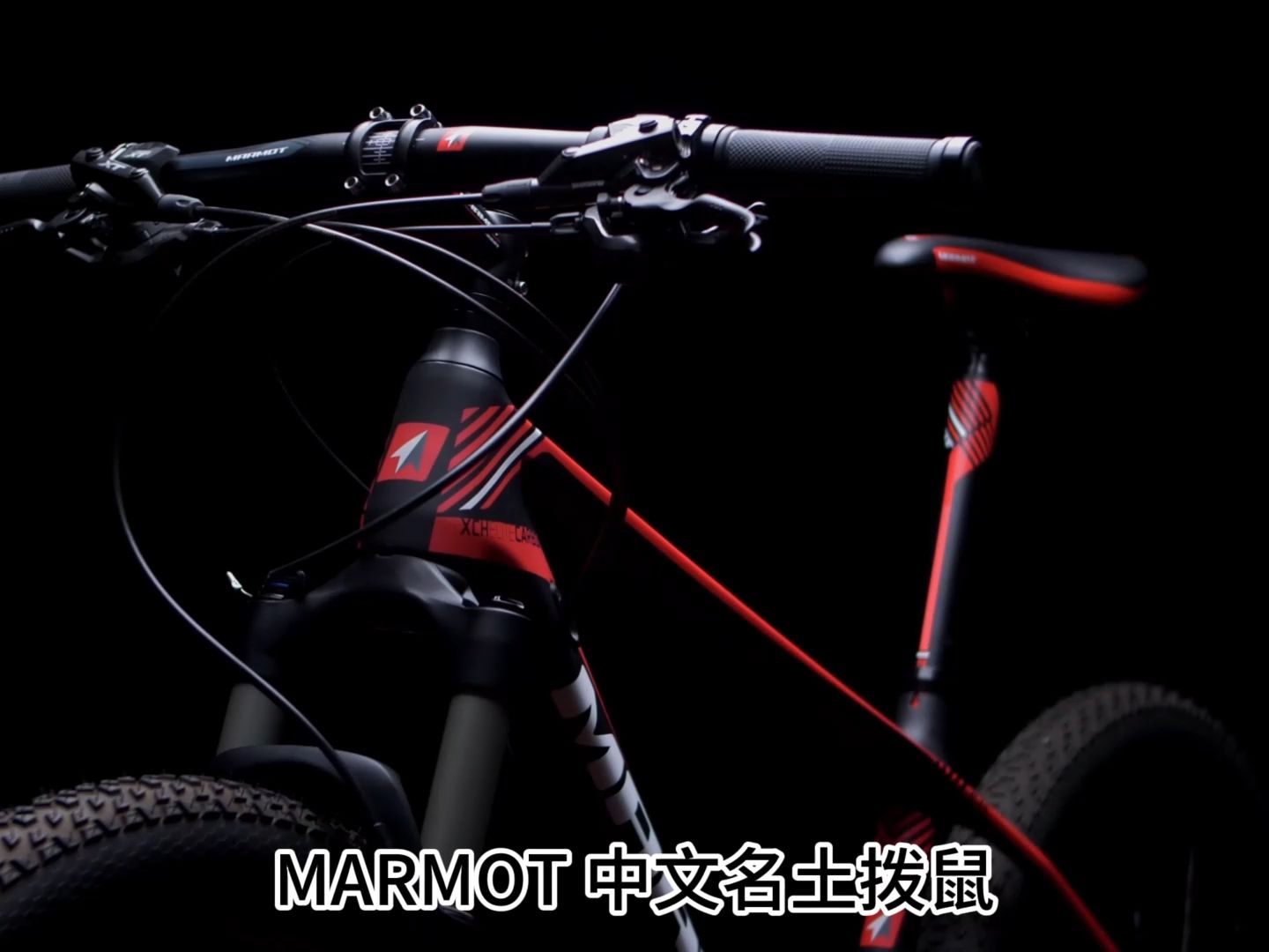 官方公布辐轮王土拨鼠全世界十大顶级自行车品牌排行榜