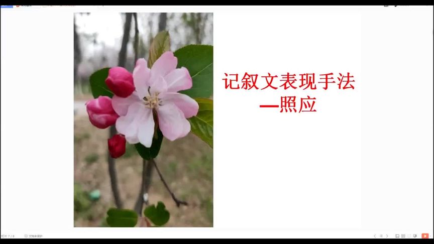老师带来的表现手法讲解——照应。快来学习吧