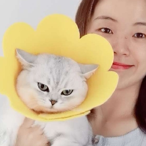 我的猫叫弗莱戈 