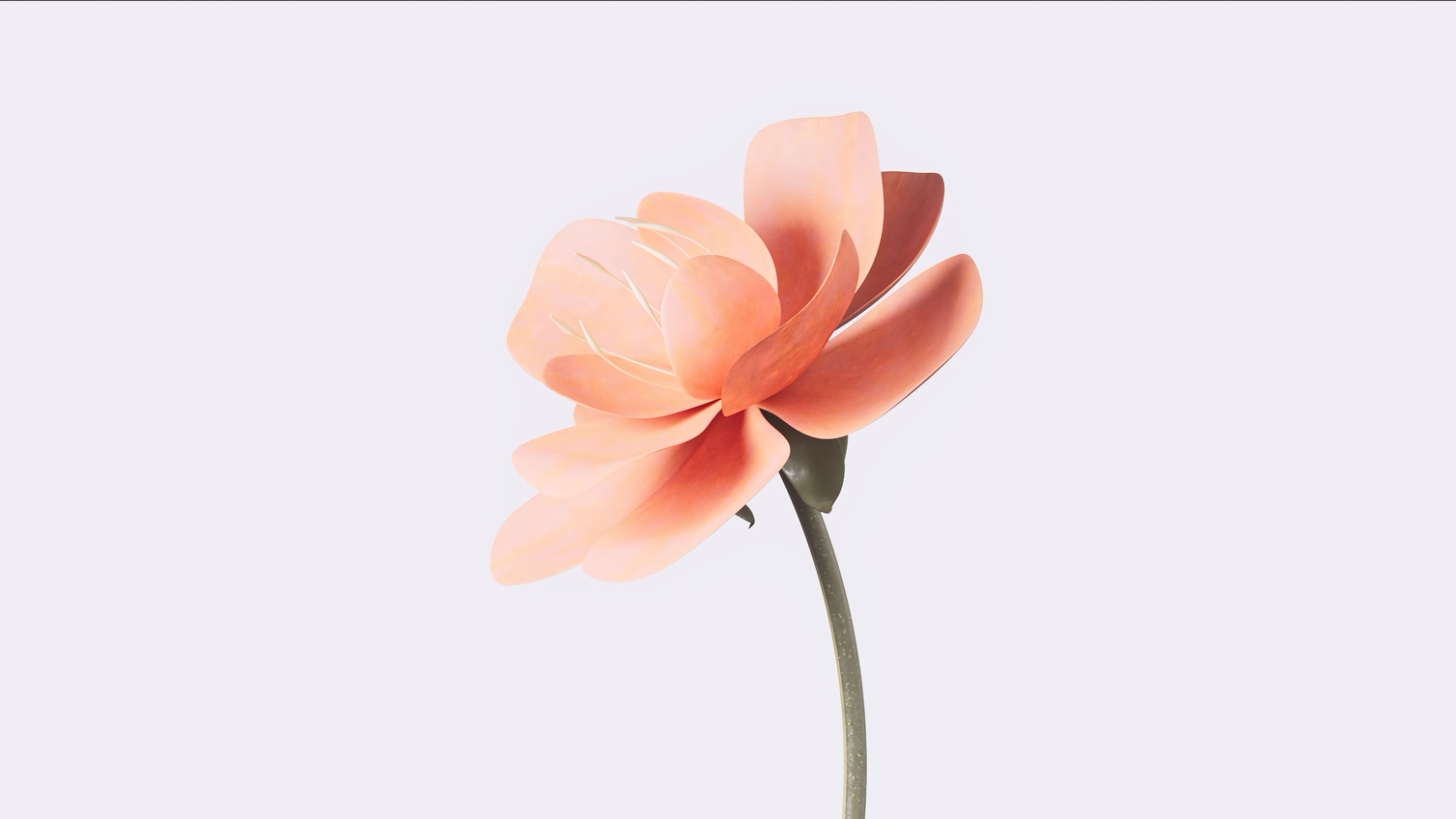 【C4D基础动画教程】C4D花朵绽放动画教程(附赠工程文件)