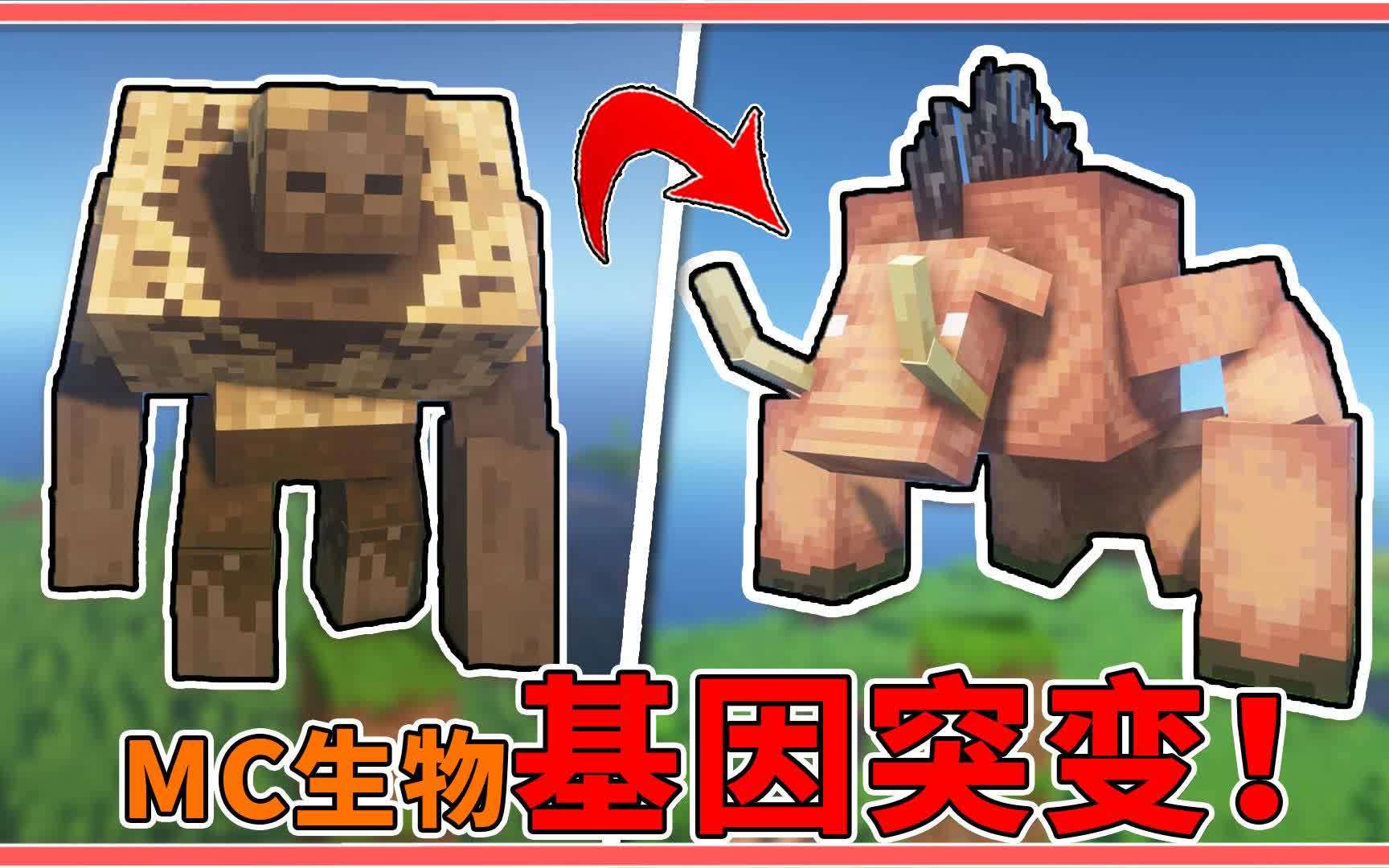 MC生物基因突变?疣猪怪体型暴涨,潜影贝变身直升机!【我的世界】