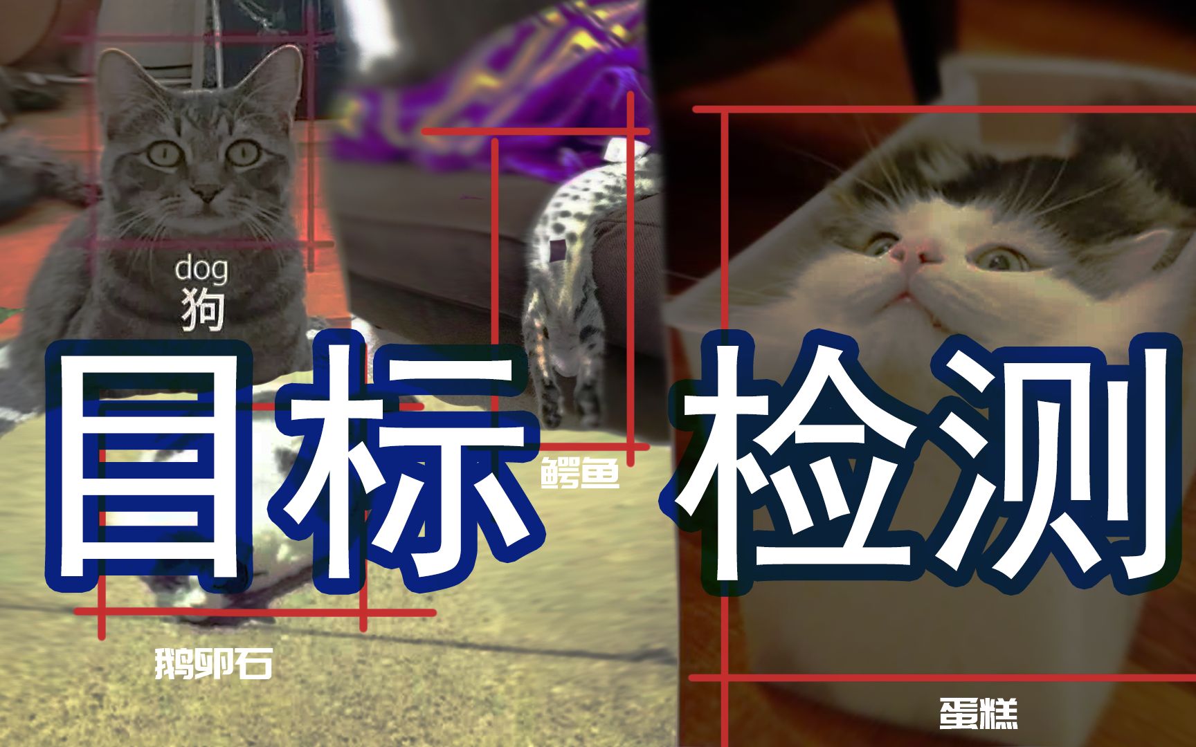 目标检测问题定义