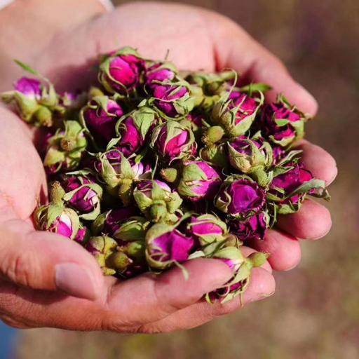 夏老师植物护肤课堂 