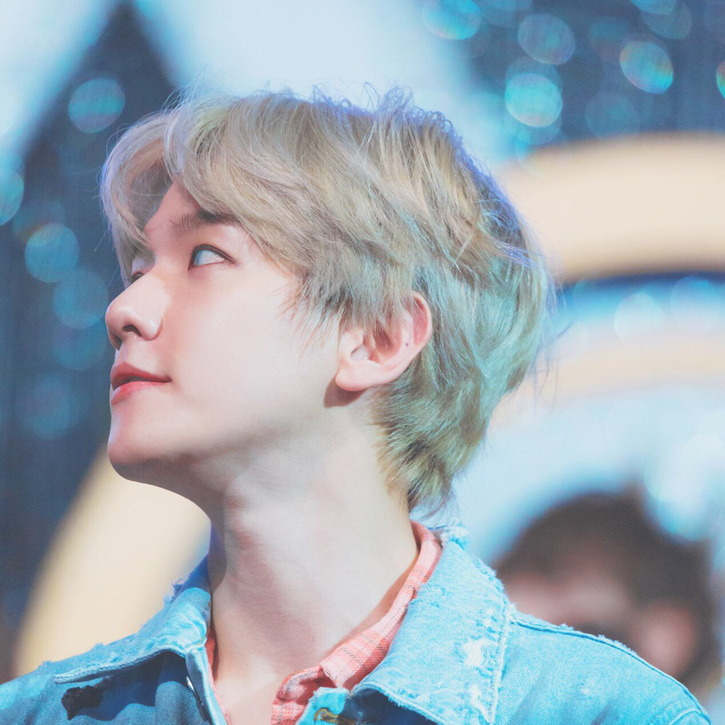 exo04081208 
