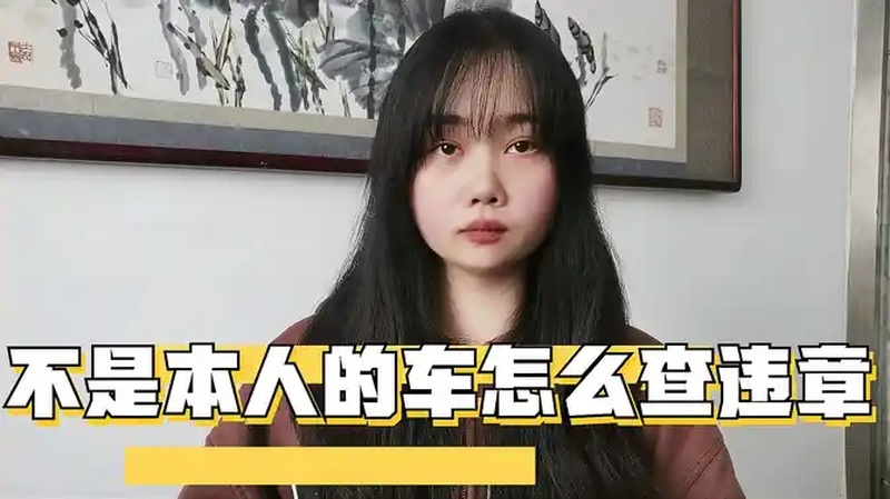 不是本人的车怎么查违章?