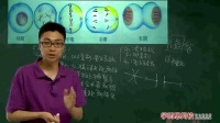 ...视频2)细胞增殖与分化-有丝分裂(一)过程及遗传物质数目变化例1-例4