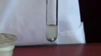 课堂实录锌与稀硫酸的反应.flv