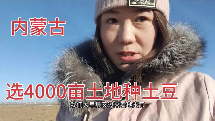 帮客户在内蒙找4000亩土地种土豆,选不对茬口药害严重,损失惨重