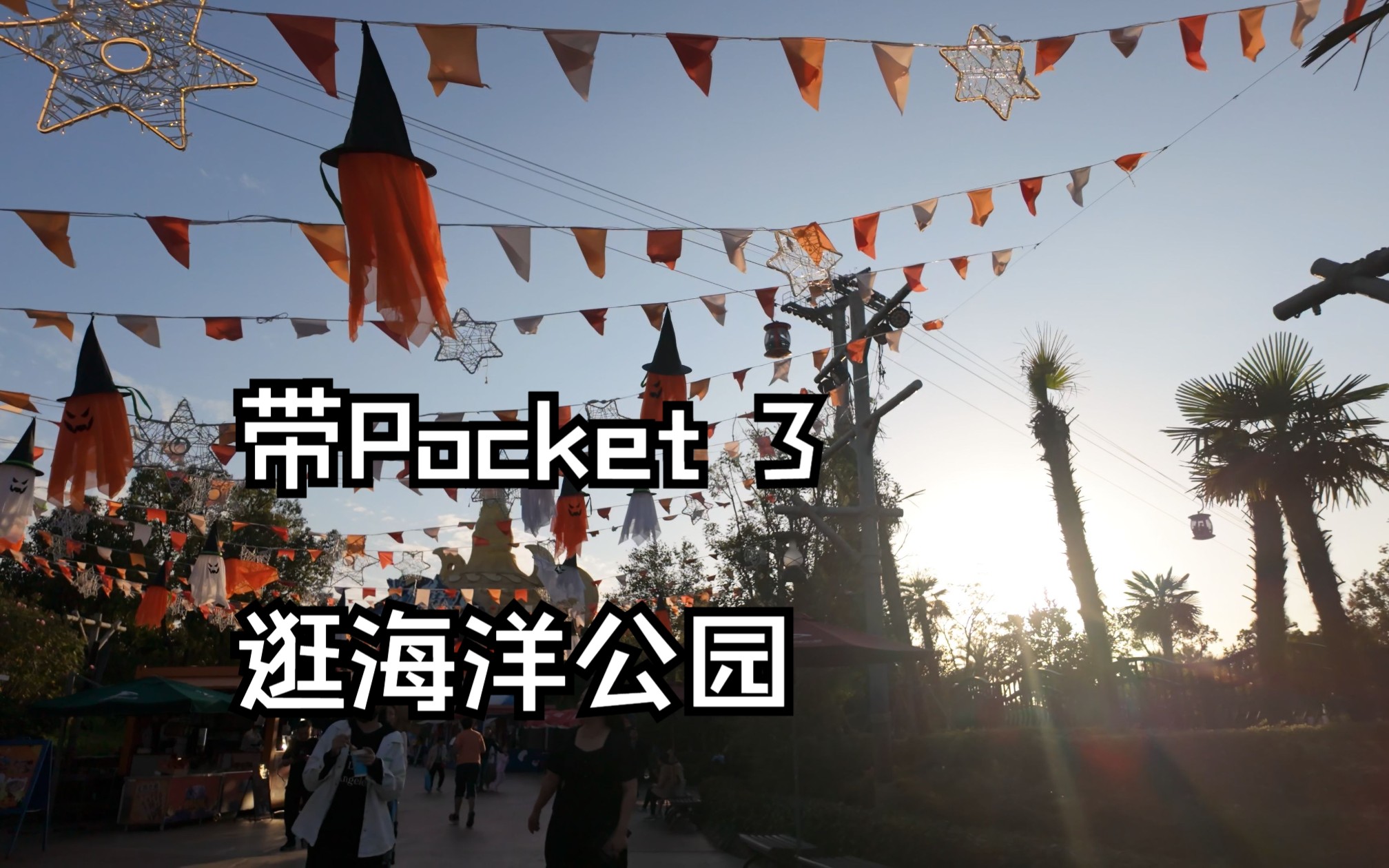 我用大疆Pocket3拍的第一个Vlog,DLog全自动模式+部分低光模式