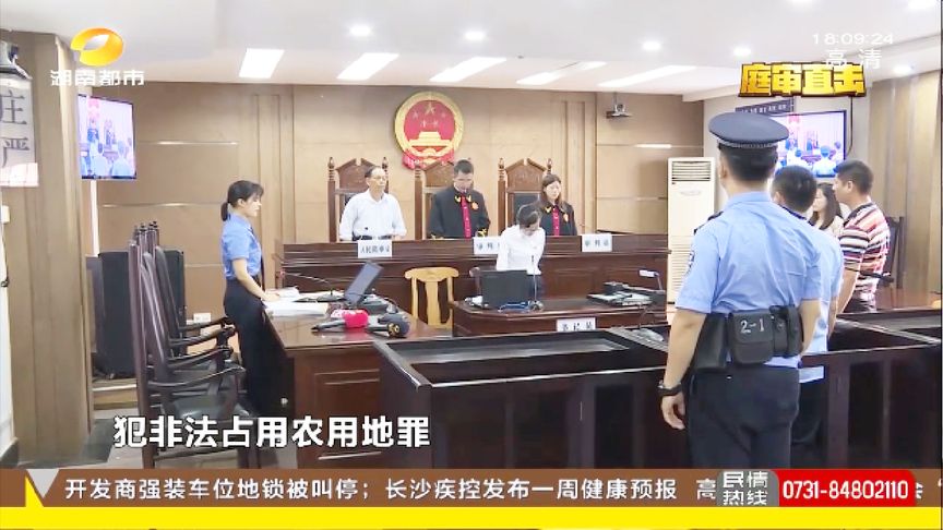 某环保公司私占11亩林地建厂房,犯非法占用农用地罪判处罚金20万