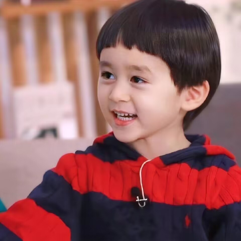 大学生程序助手 
