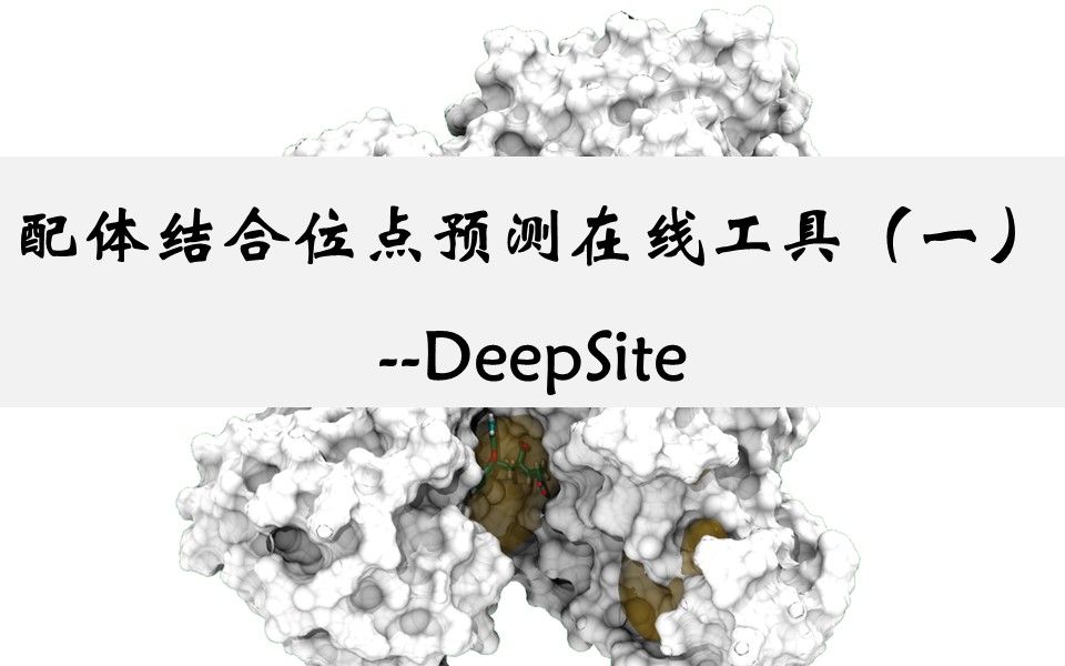 配体结合位点预测的在线工具(一)--DeepSite