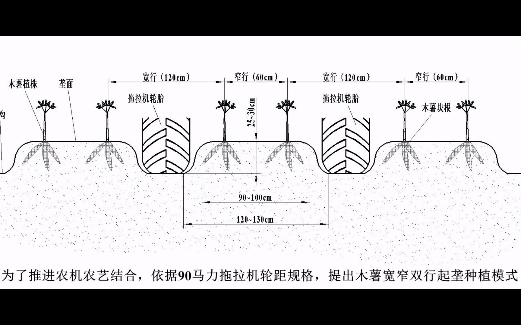 木薯宽窄双行起垄种植技术及配套全程机械化技术