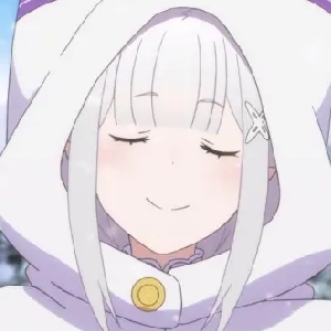 莱の阿茚子 