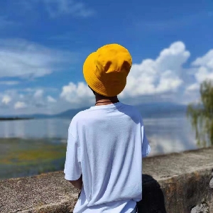 看广告的小游戏 