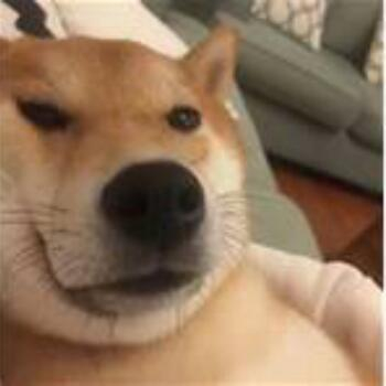 吾乃大浮云 