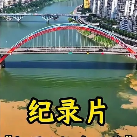 《洪水肆虐,广西心连心》:广西洪水见证人间温情